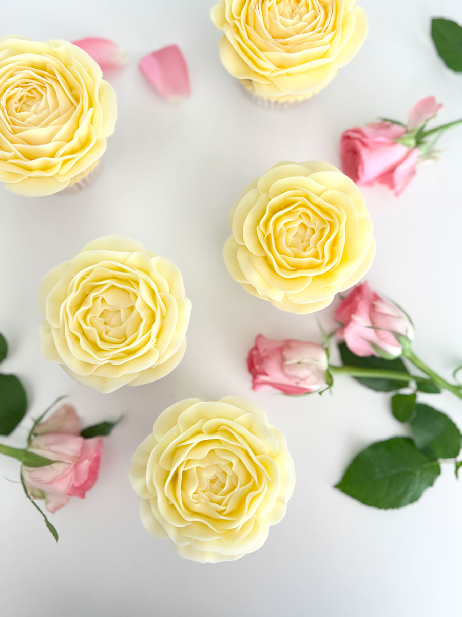 Deep Cup Rose | Rachelle's